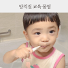 두돌아기 책육아 양치질 교육 아기 그림책 성공 비법 네이버 블로그